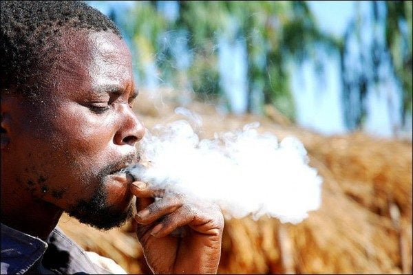 LCC threatens to arrest public smokers – Zambia: News Diggers!