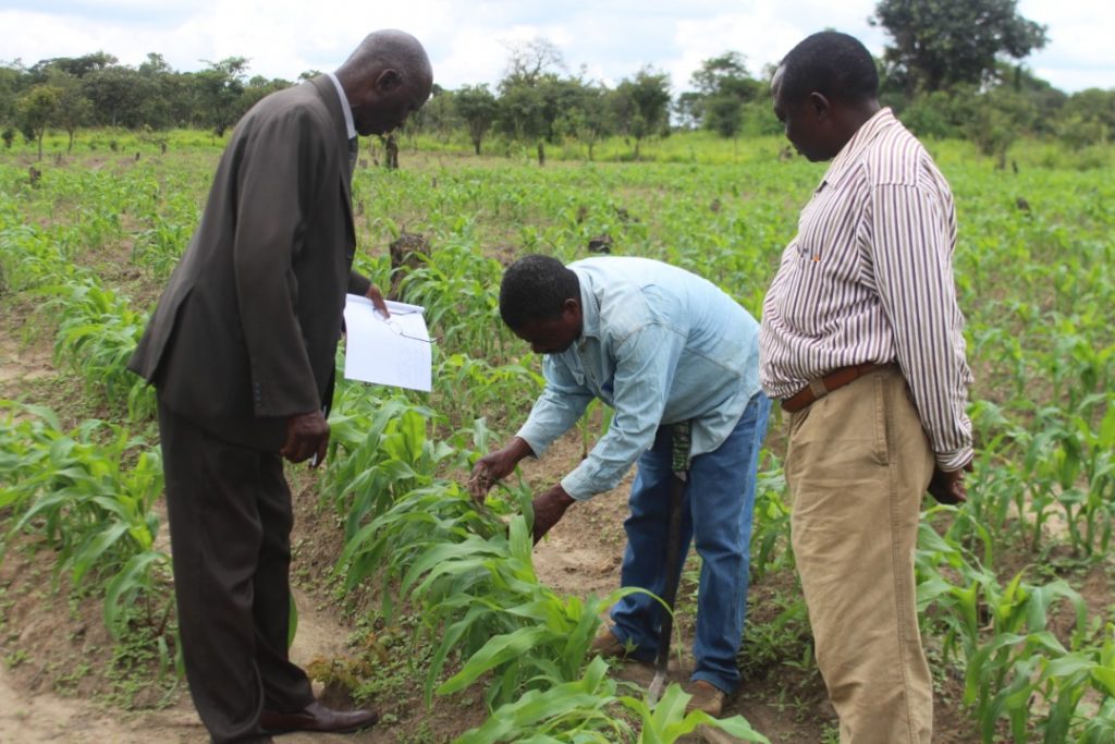 Link us to regional markets, Solwezi farmer pleads with govt – Zambia ...