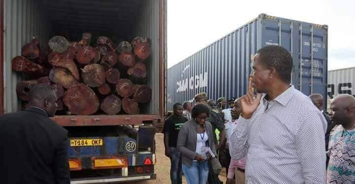 EIA can’t lie Lungu involved in Mukula saga – Kalaba – Zambia: News ...