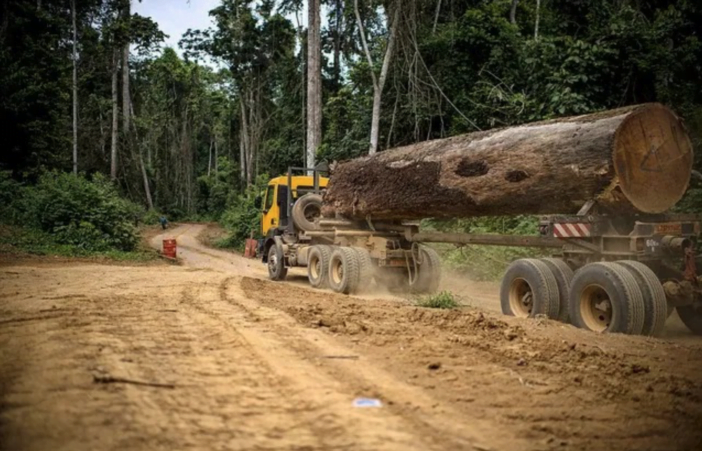 ACC nabs former army general, OP officer over Mukula – Zambia: News ...