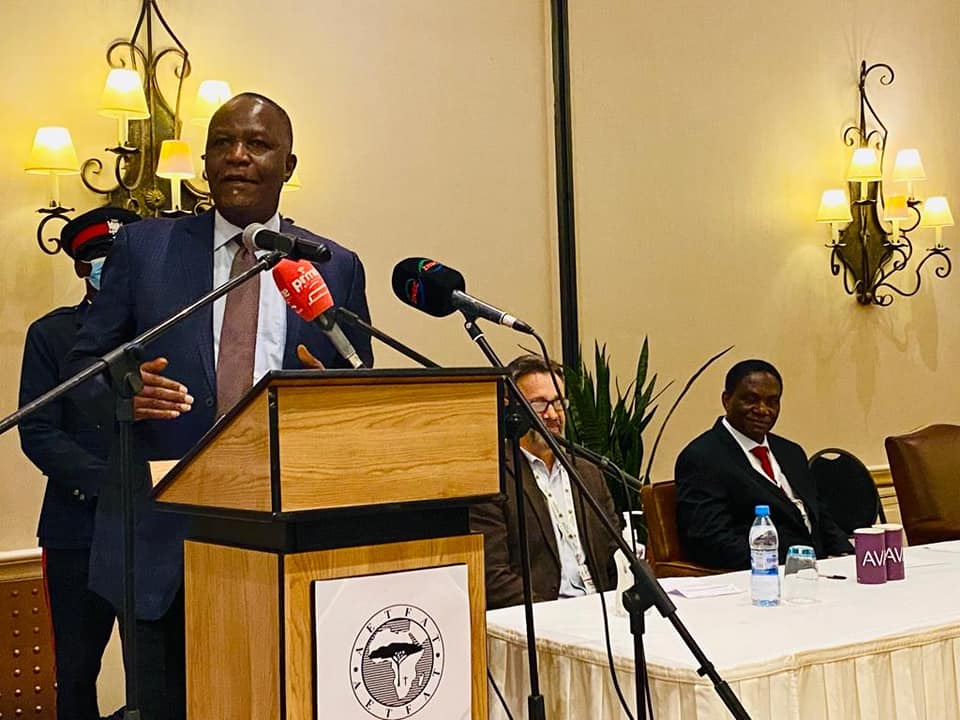 Zambia has investment commitments exceeding $3bn this year alone ...