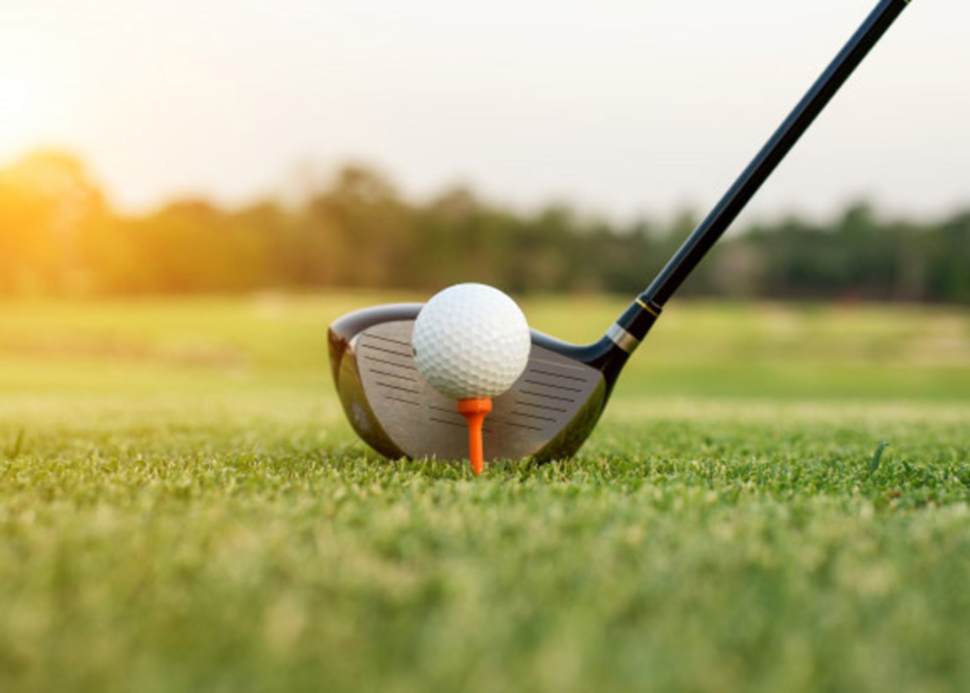 Mazabuka Golf Club receives sweet facelift – Zambia: News Diggers!