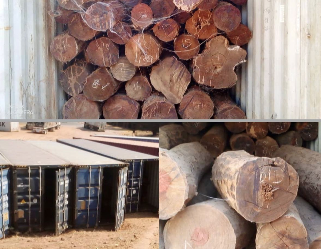 Court views 23 Mukula-laden containers at Chirundu boarder – Zambia ...