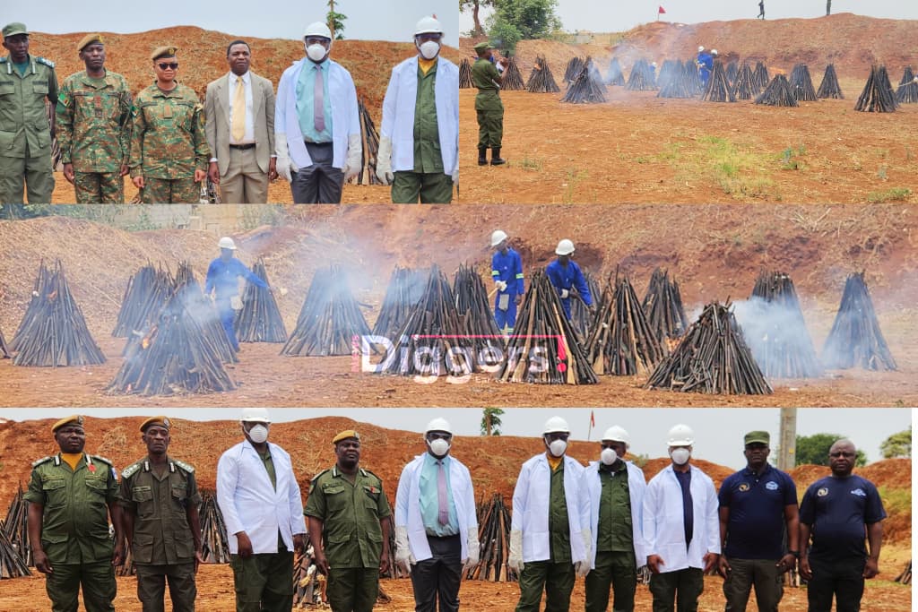 Police destroy 3,000 firearms – Zambia: News Diggers!