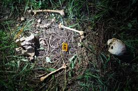 Police find skeleton of Sinazongwe man who died in 2024 – Zambia: News ...